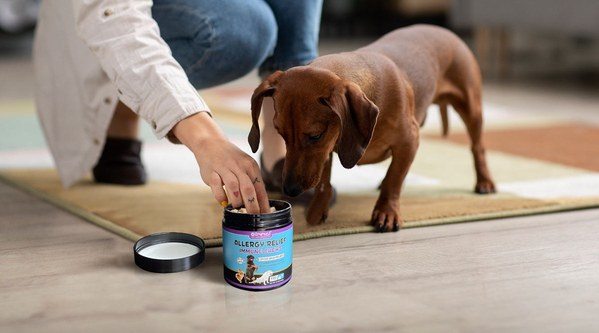 7 Natural Sources of Taurine for Dogs (& How Much They Need Daily) · oimmal